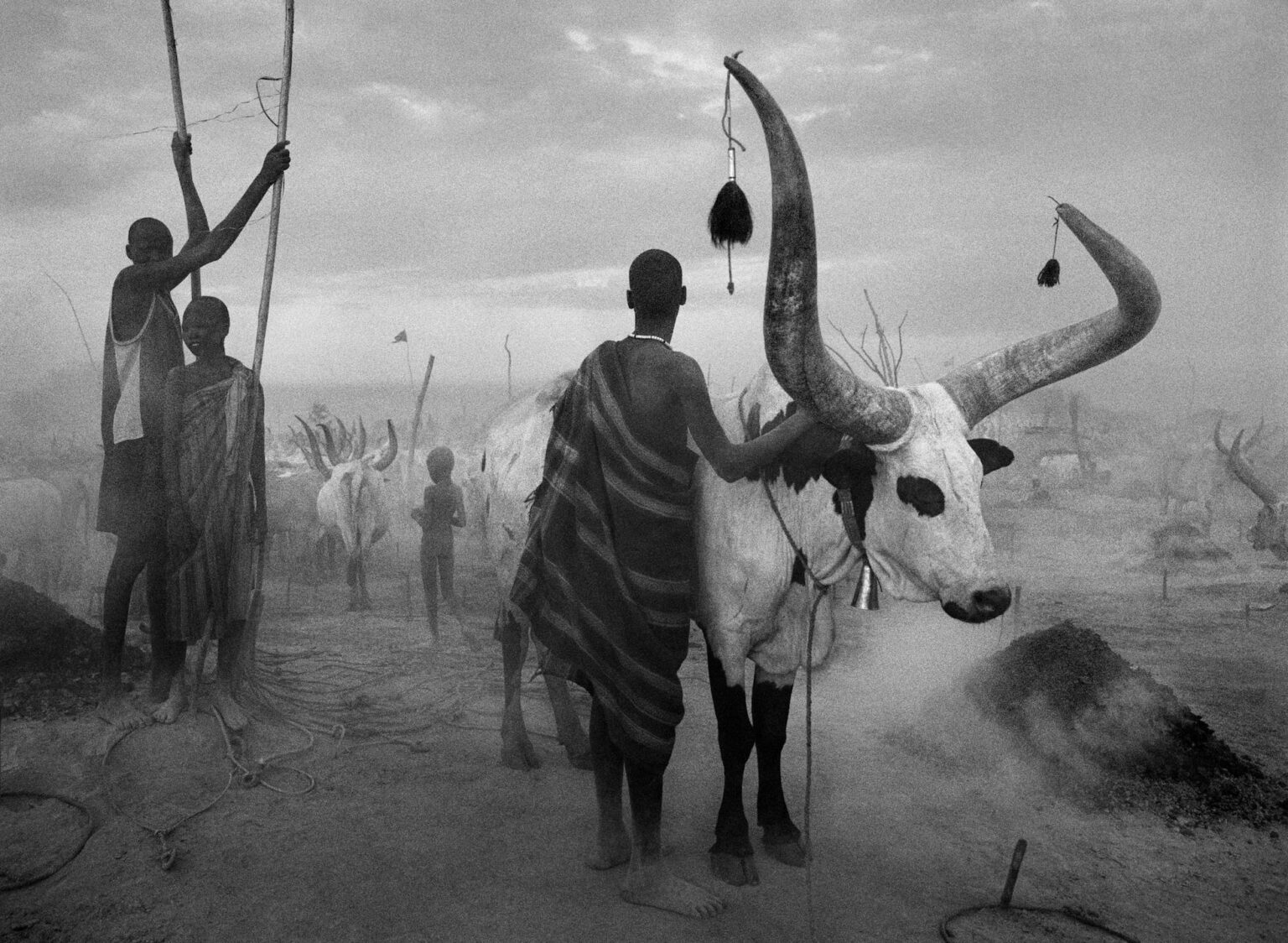Sebastião Salgado – ADRIAN AMOROS
